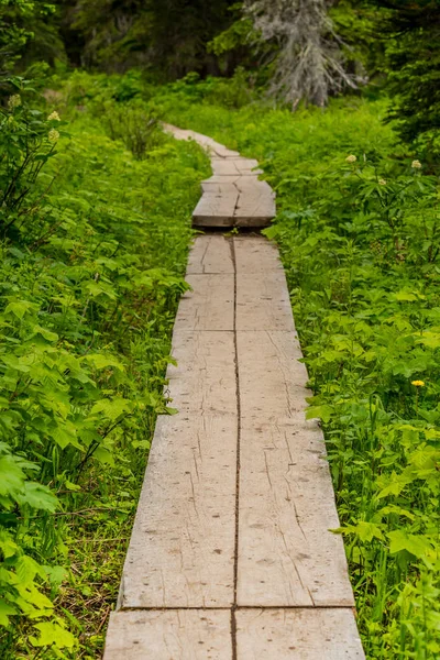 Caminho de prancha Stock Photos, Royalty Free Caminho de prancha Images ...