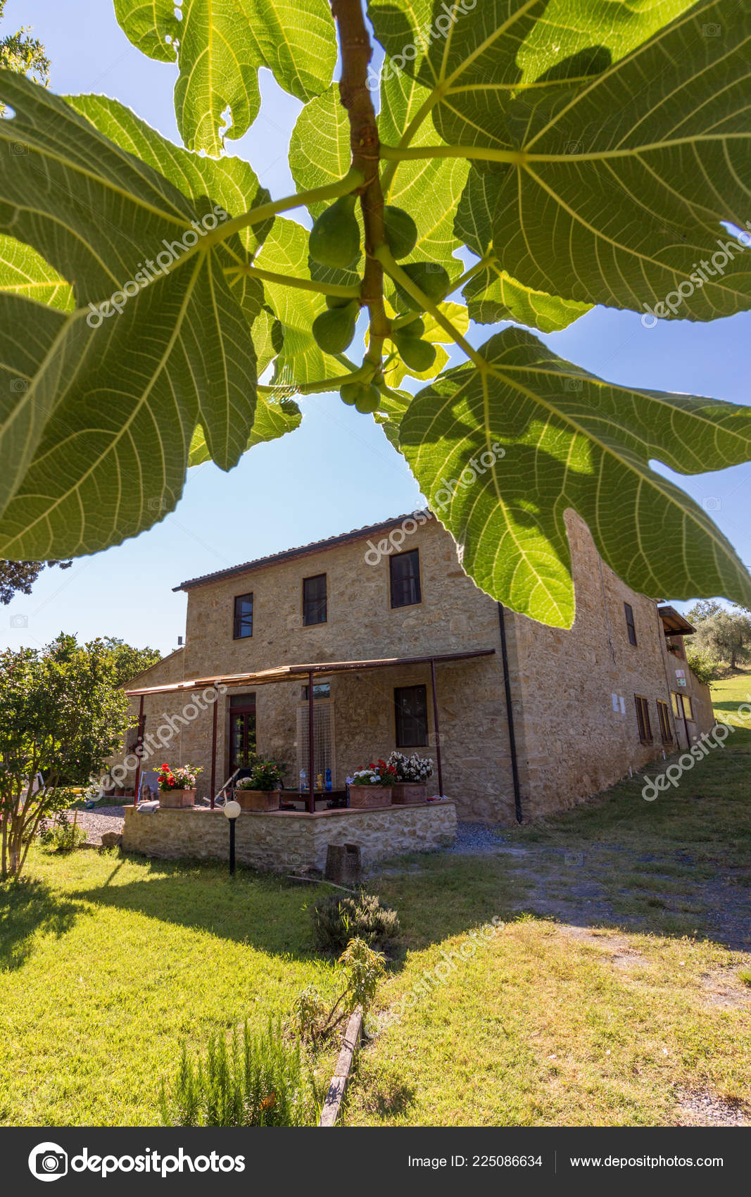 House Natural Bricks Fig Tree — Stock Photo © robertkuehne #225086634