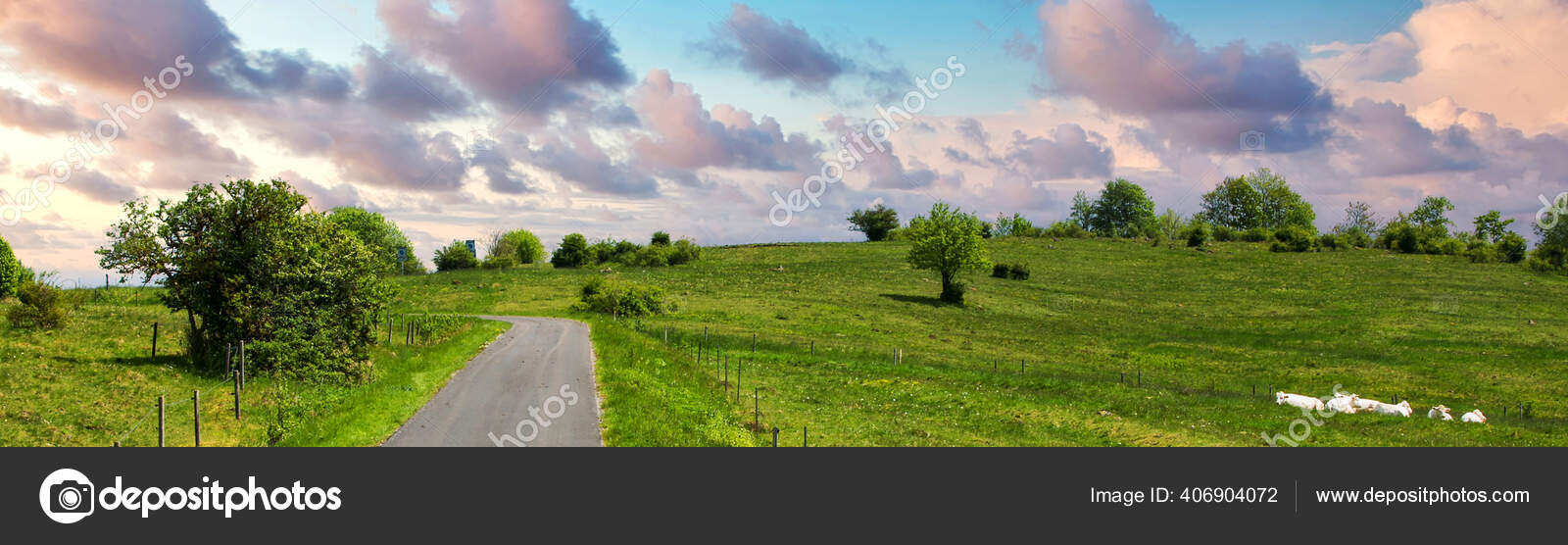 Panoramic View Green Fields Trees Small Road Sunset — Stock Photo ...