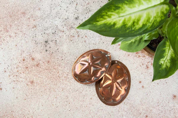Vintage copper cookie molds and green plants on a concrete background ...