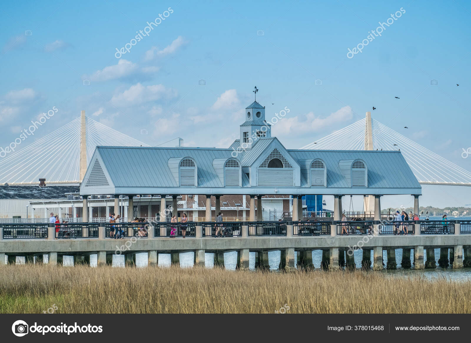 Waterfront Park Cooper River Charleston South Carolina Usa – Stock ...