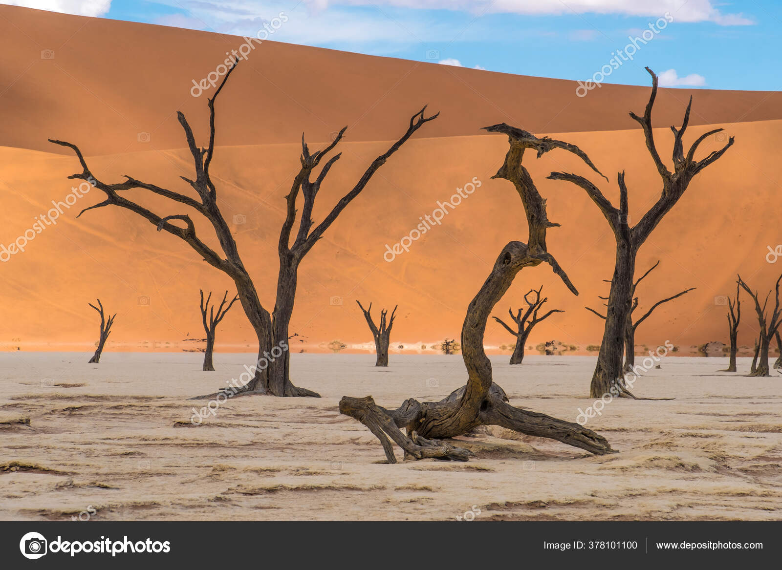 Deadvlei Dead Marsh White Clay Pan Namib Naukluft Park Namibia — Stock ...