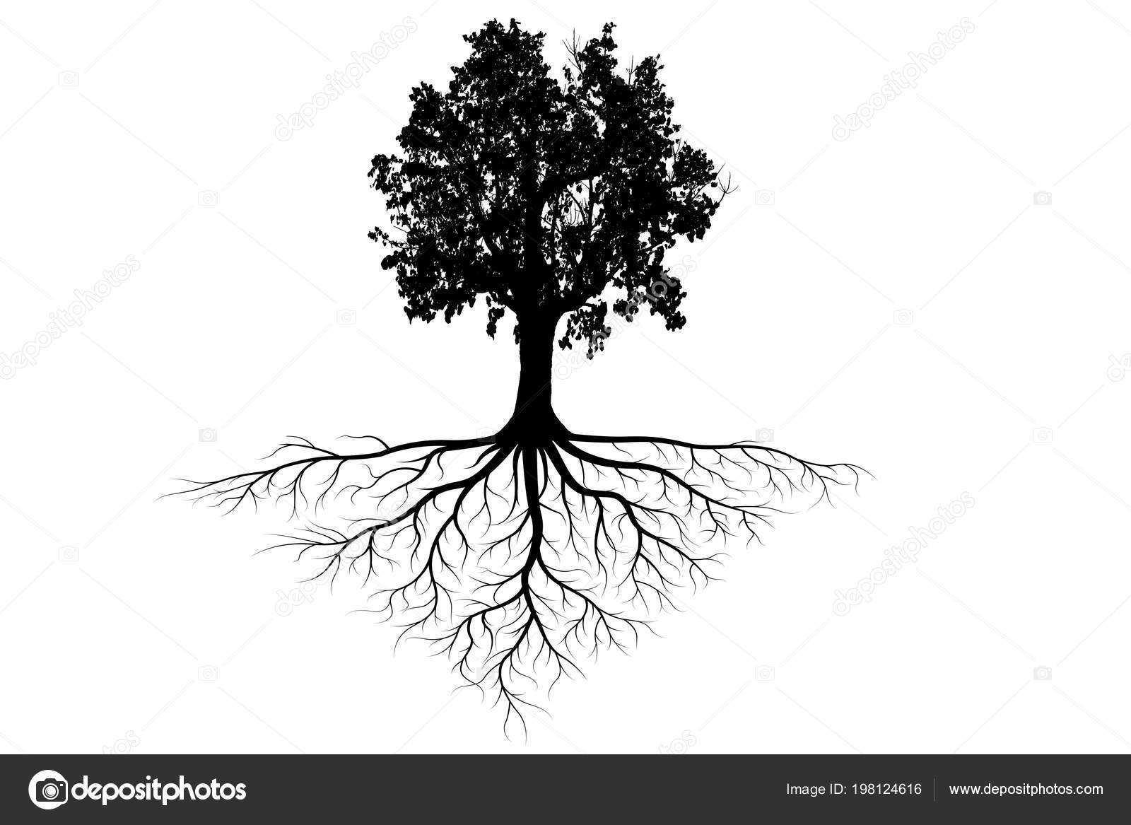 Tree Roots Silhouette Stock