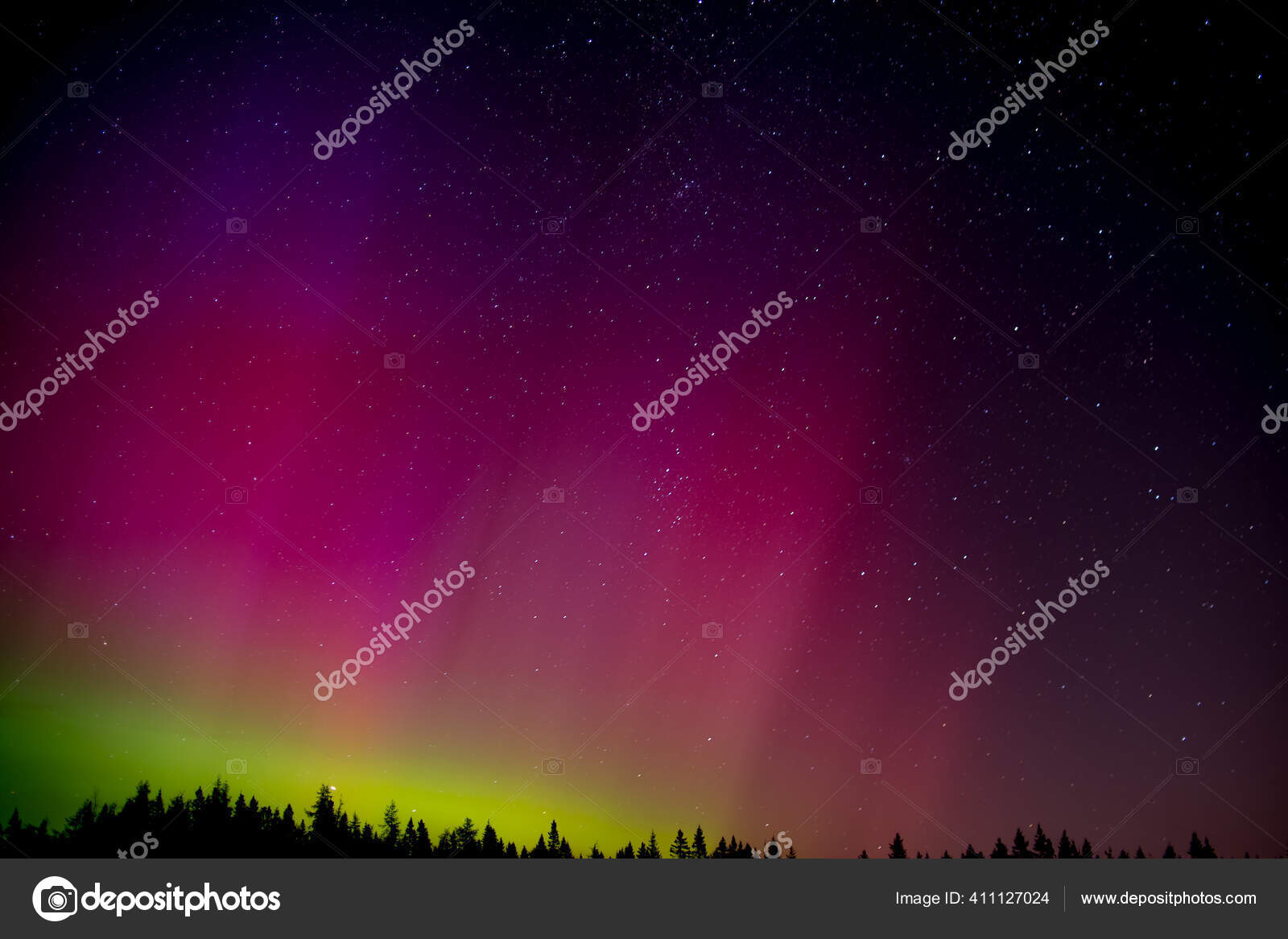 Aurora Borealis Horizon Trees Stars Slightly Elongated Short Star ...