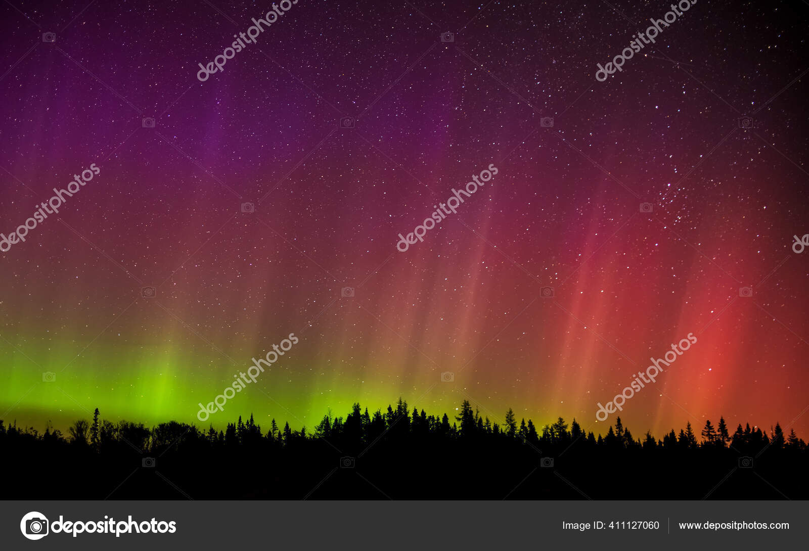 Aurora Borealis Horizon Trees Stars Slightly Elongated Short Star ...