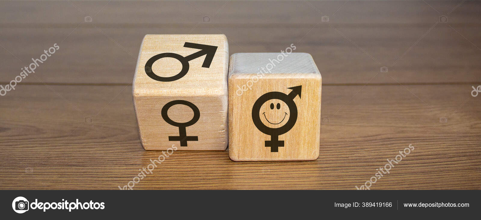 Gender Equality Concept Wood Cubes Male Equals Female Symbol Wooden
