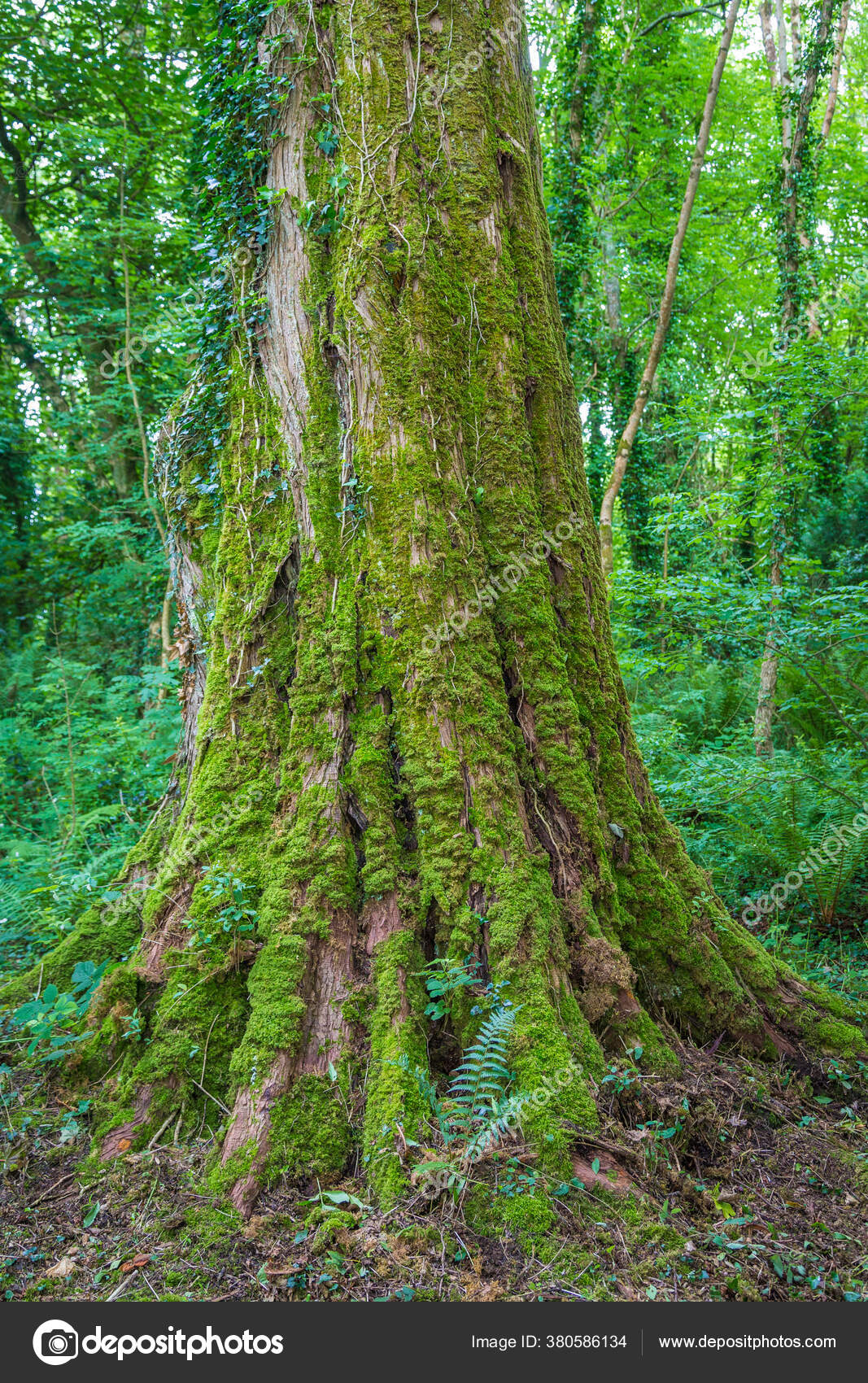 Beautiful Local Recreation Area Small Island Inish Beg West Cork Stock ...