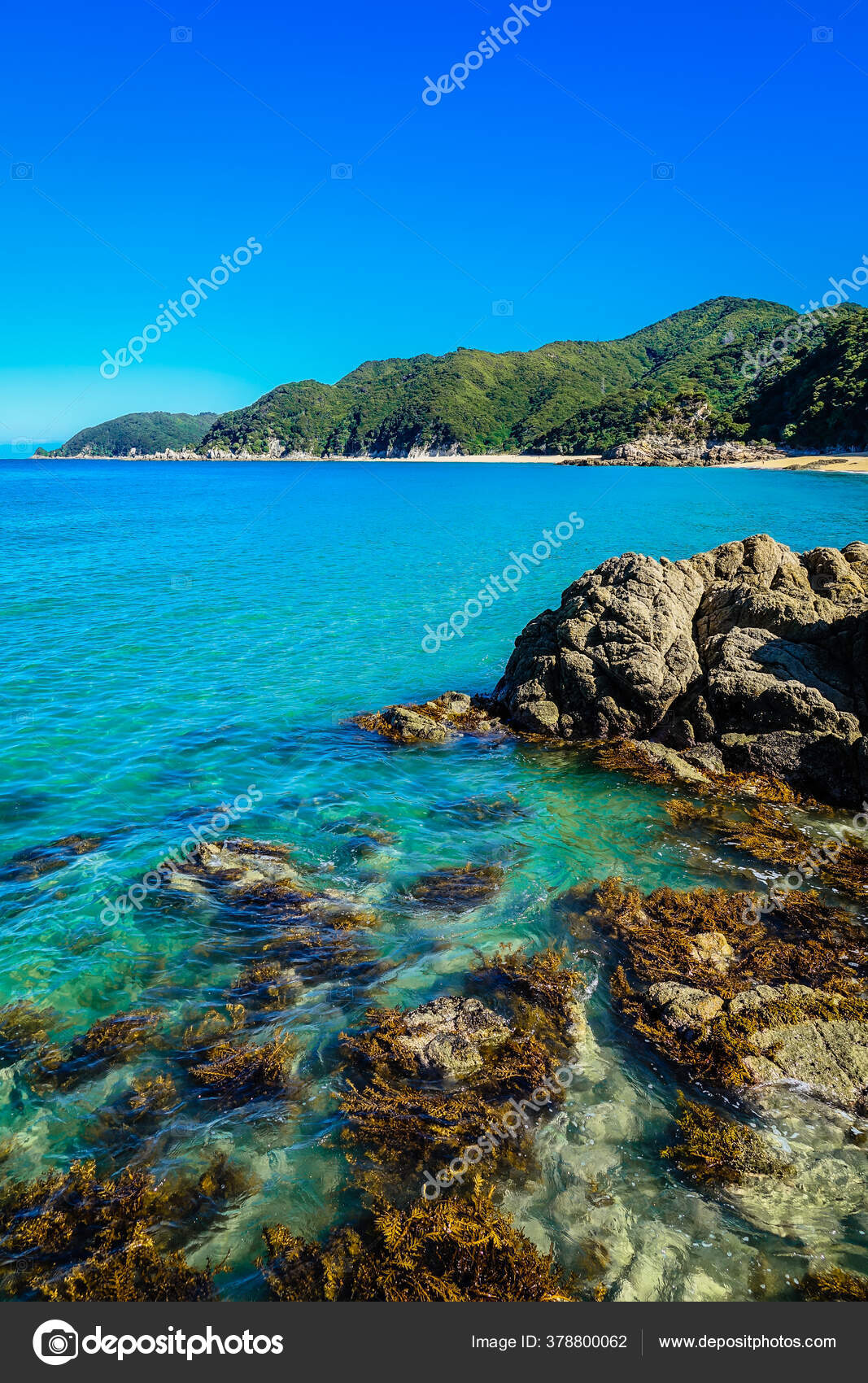 Stunning Mutton Cove Abel Tasman Coast Track Abel Tasman Tasman — Stock ...