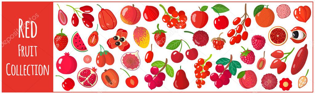 Conjunto de ilustraciones de dibujos animados vectoriales con frutas ...
