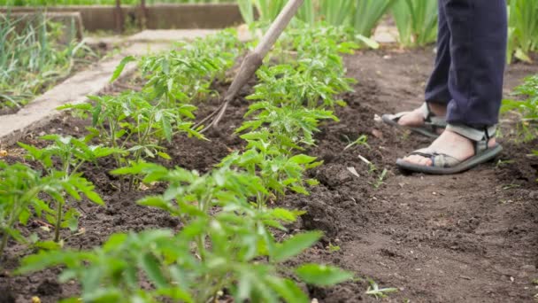 2,685 Rake grass Stock Videos, 4K & HD Footage | Depositphotos