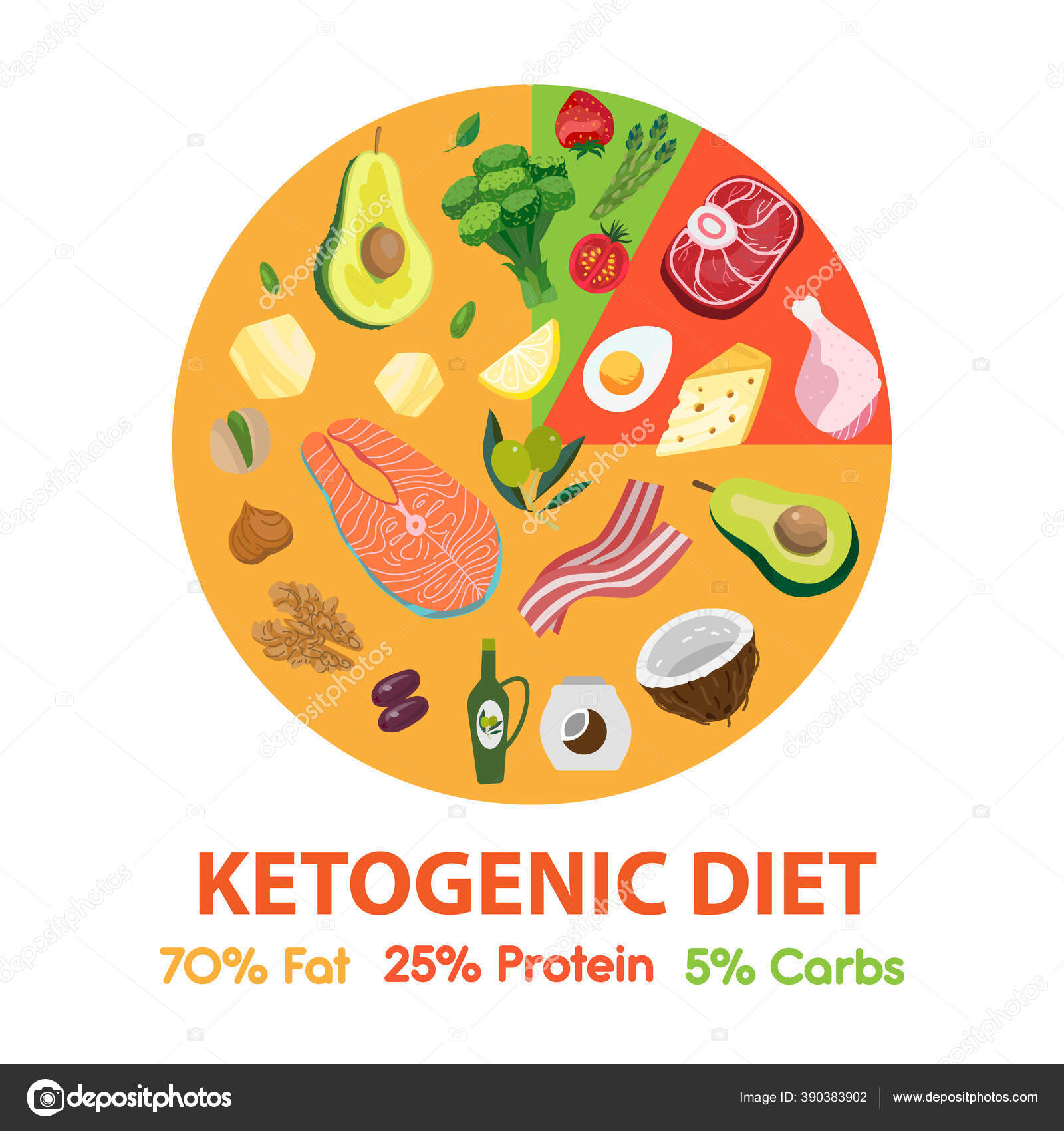 Ketogenic Low Carb Diet Macros Food Diagram Circle Chart Vector Stock ...