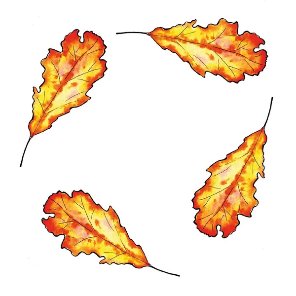 Fotos de Sete folhas, Imagens de Sete folhas sem royalties | Depositphotos