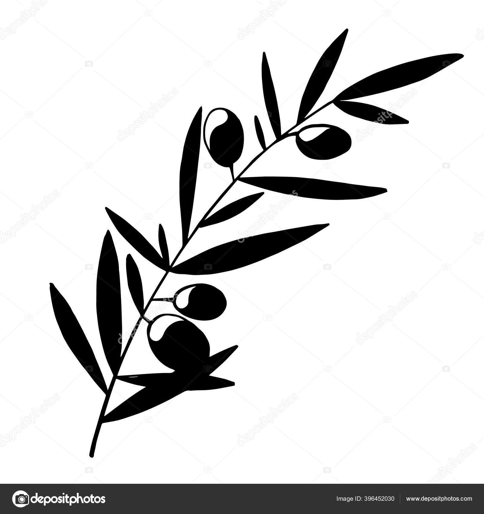 Olive Vector Art