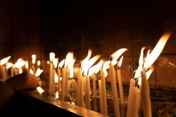 Reflect on the importance of combating indifference holocaust images ...