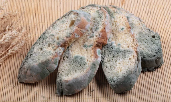 Macrophotography Green Mildew Stale Bread Surface Moldy Bread Spoiled ...