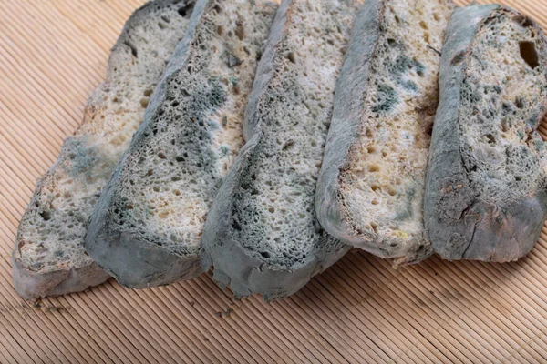 Macrophotography of green mildew on a stale bread. Surface of moldy ...