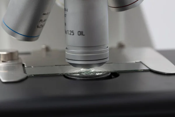 Examining of test sample under the microscope in laboratory. Optical ...