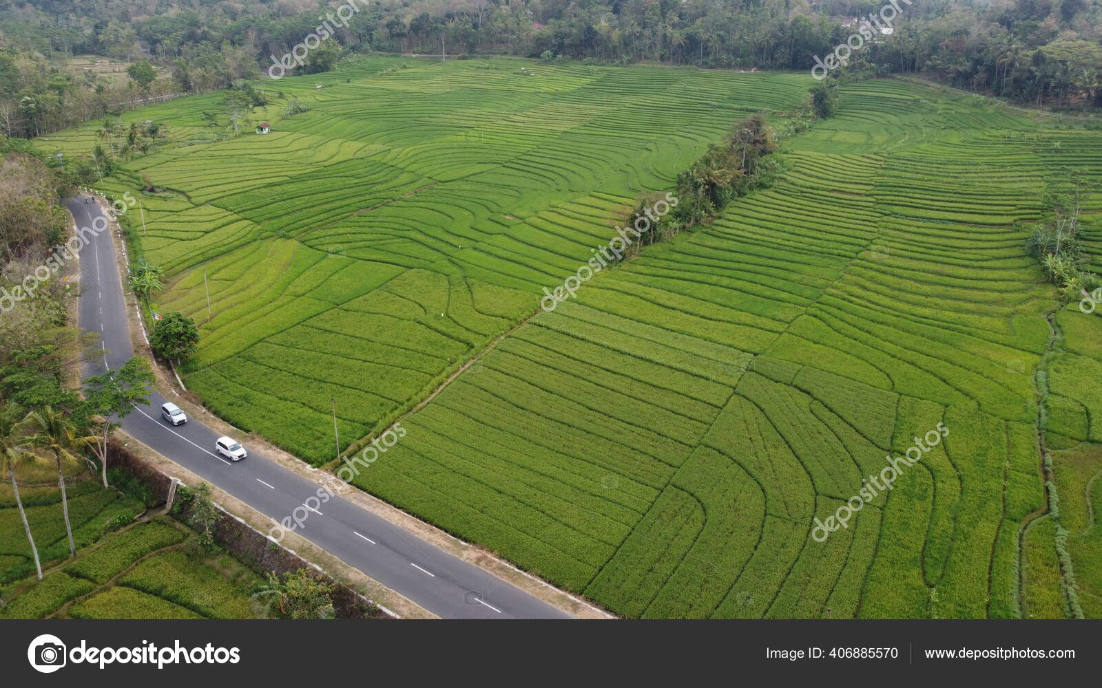 Green Rice Terraces Nanggulan Kulon Progo — Stock Photo © herukru ...
