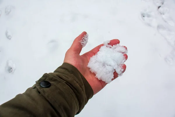 Cold hands Images - Search Images on Everypixel