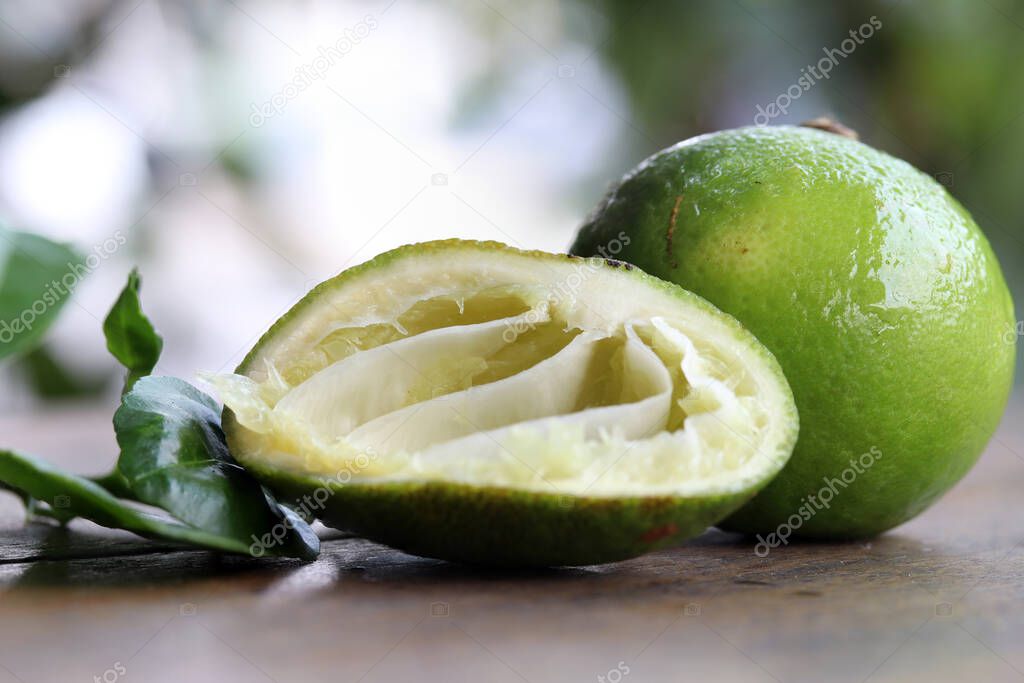 La cal de disección se exprime con cal llena y las hojas en la mesa de ...