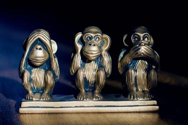 Three monkeys Stock Photos, Royalty Free Three monkeys Images ...