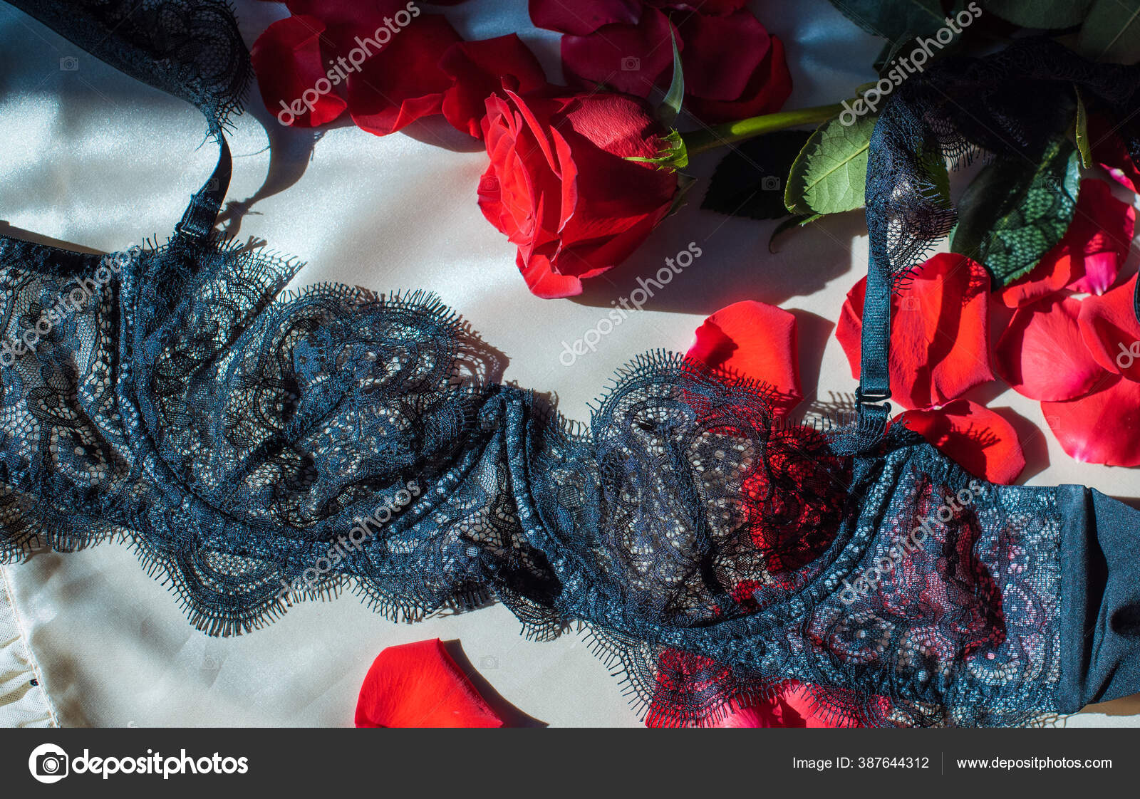 Vintage Lingerlie Oldest Silk Beautiful Tenderness Lingerie — Stock ...