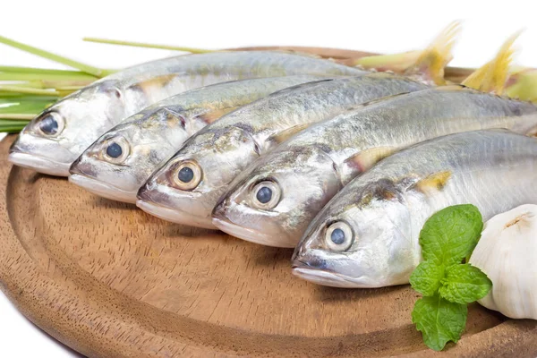 Hilsa Stock Photos, Royalty Free Hilsa Images | Depositphotos