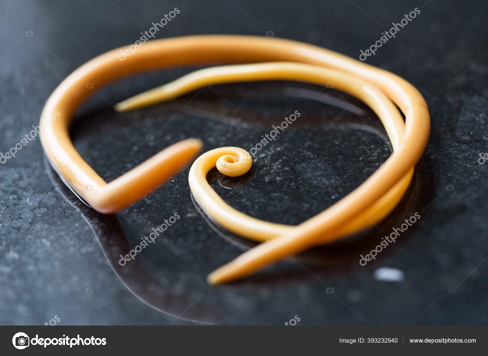 L'ascension Est Une Maladie Causée Par Ver Rond Parasite Ascaris image ...