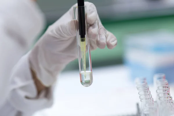 La Reacción En Cadena De La Polimerasa Pcr Y La Electroforesis En Gel