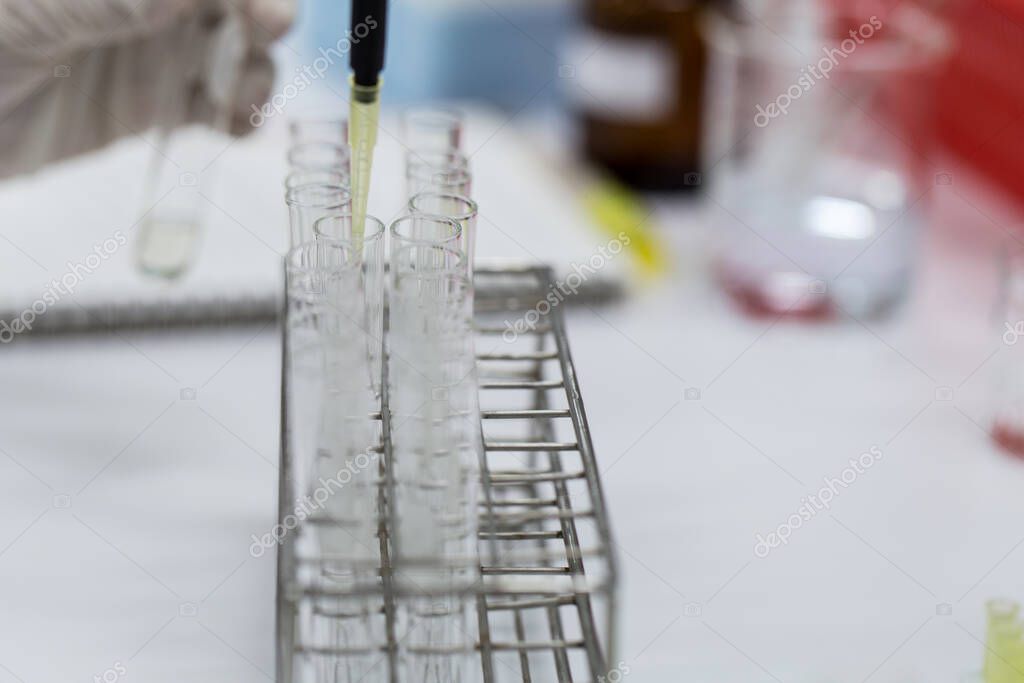 La Reacción En Cadena De La Polimerasa Pcr Y La Electroforesis En Gel