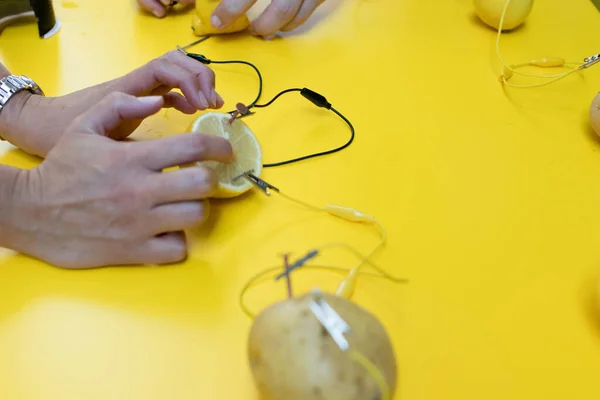 Science fair Stock Photos, Royalty Free Science fair Images | Depositphotos