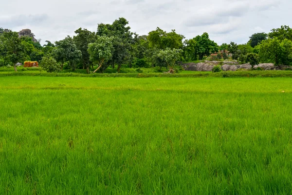 Indian rural Stock Photos, Royalty Free Indian rural Images | Depositphotos