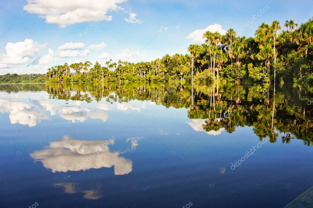 Cuenca Amazónica, Perú, América del Sur 2022