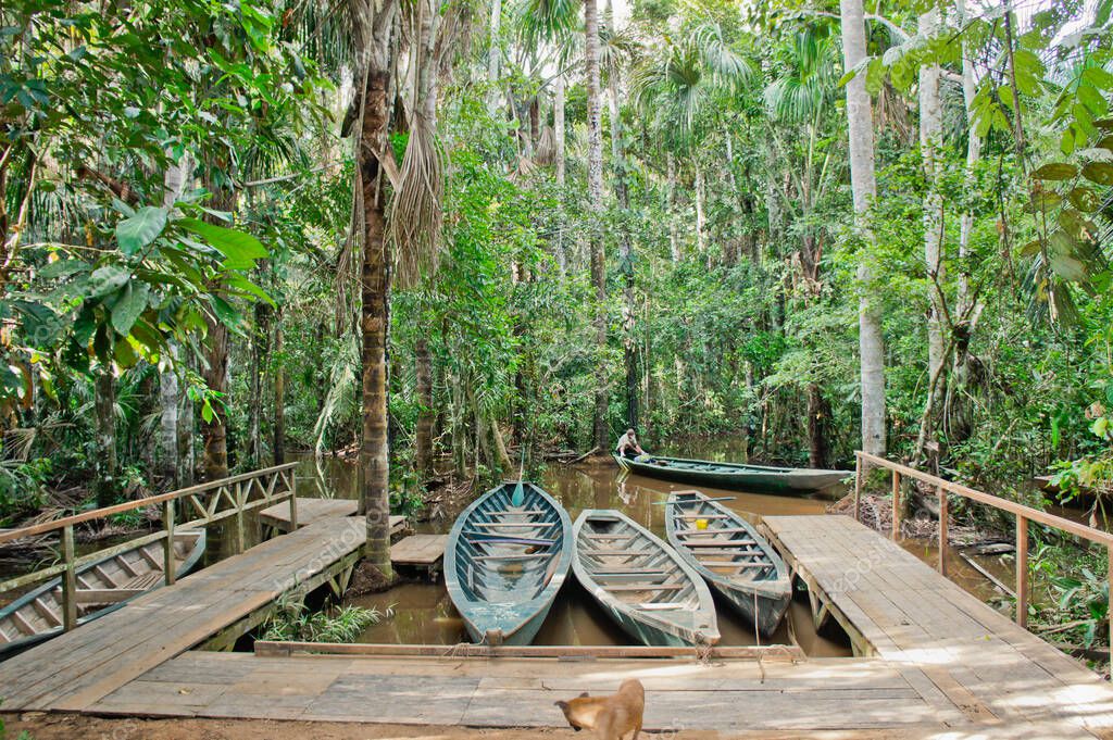 Cuenca Amazónica, Perú, América del Sur 2022