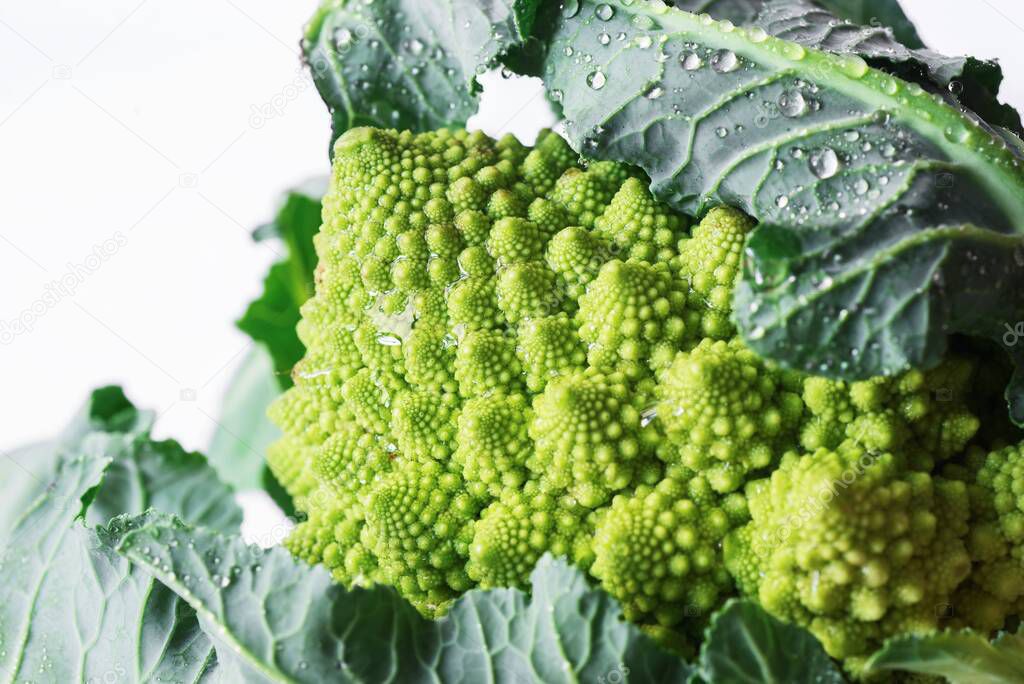 Brócoli piramidal llamado romanesco con gotas de agua sobre fondo ...