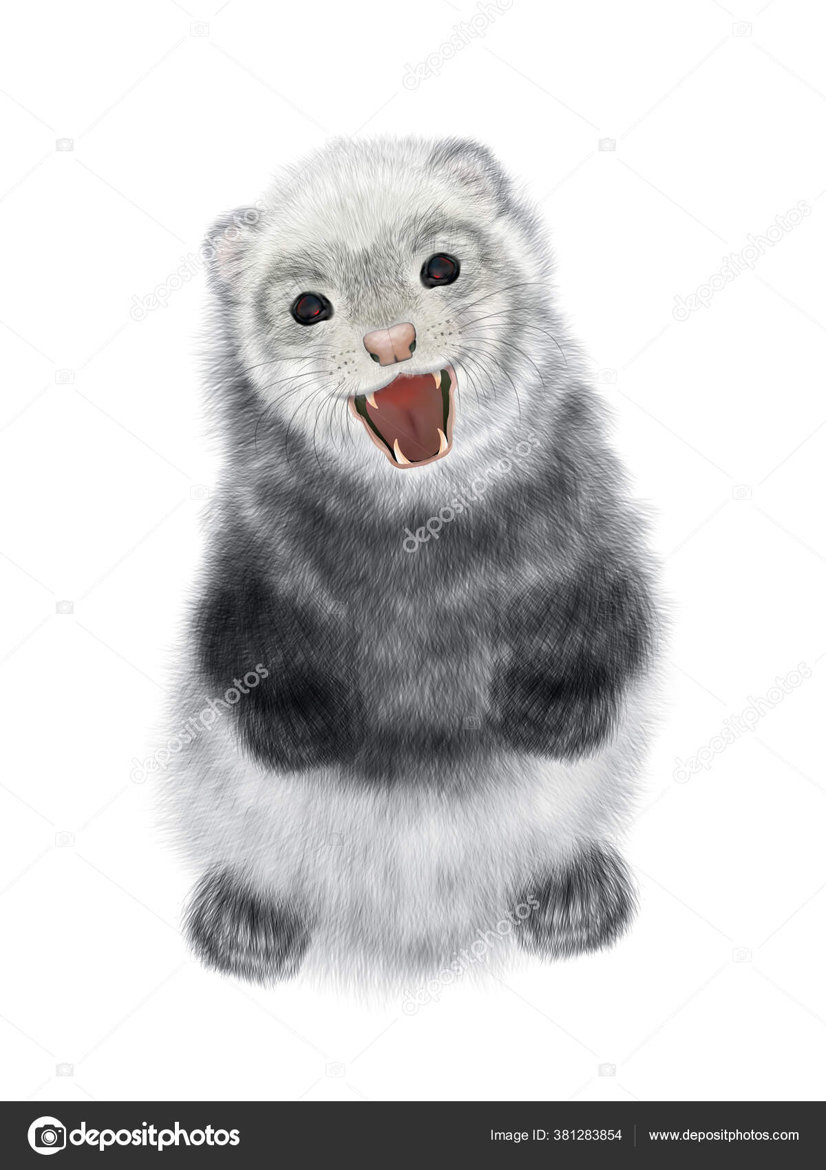 Realistic Ferret Drawing
