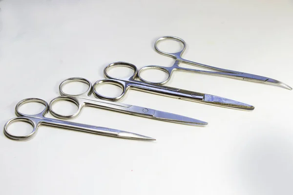 Frog dissection Stock Photos, Royalty Free Frog dissection Images ...