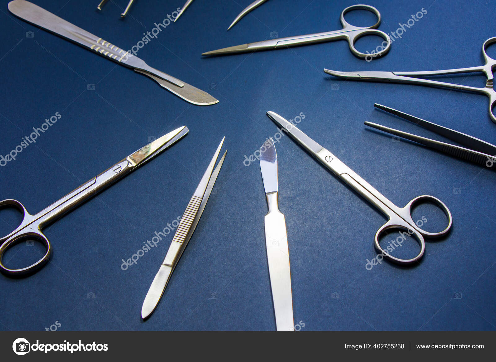 Marine Biologist Tools