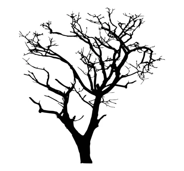 316 Gothic trees Vector Images | Depositphotos