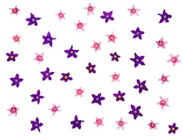 100,000 Pixie stars Vector Images | Depositphotos