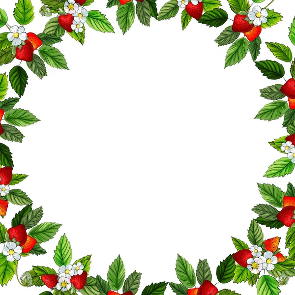 Круглый венок фрукты Stock fotók, Круглый венок фрукты Jogdíjmentes ...