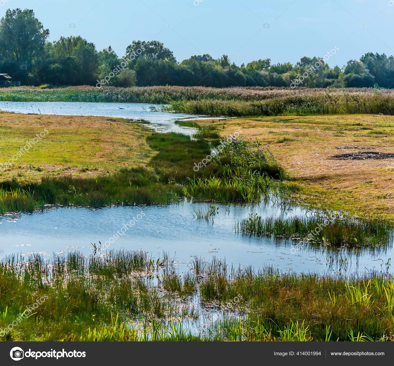 View Lakes Ponds Summer Leys Nature Reserve Wellingborough Summertime ...