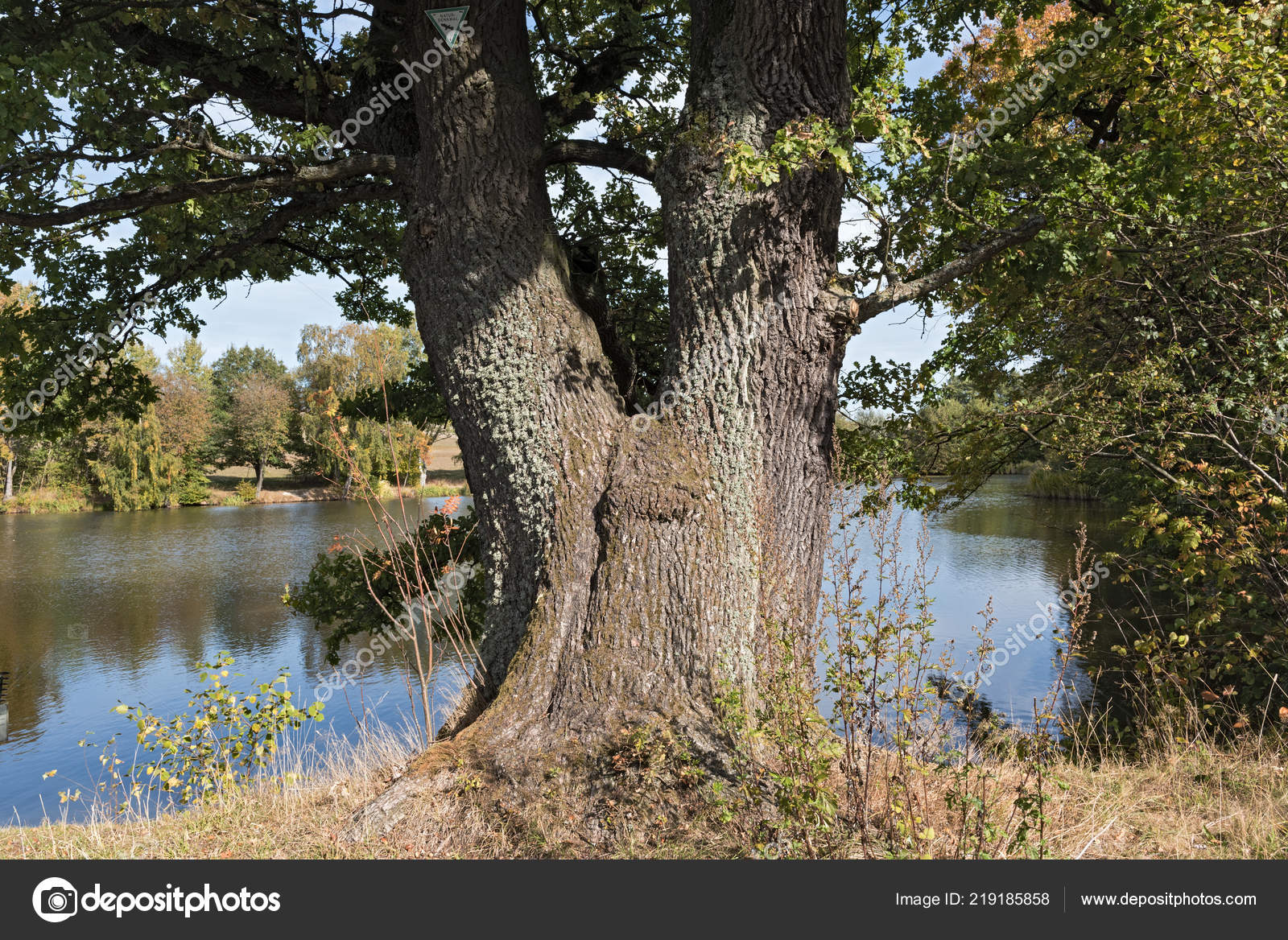 Meerpfuhl Pond Merzhausen District Usingen Hesse Germany Stock Photo by ...