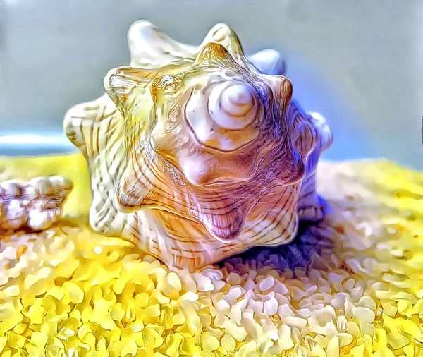 Green sea shell in water Stock Photo by ©Nastya22 10789822