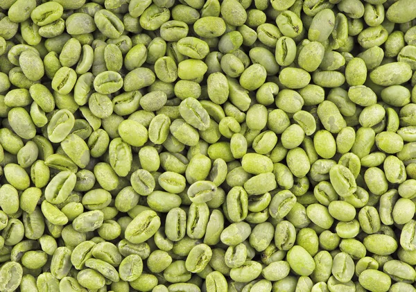 Green coffee beans background. Medium green peaberry coffee beans ...