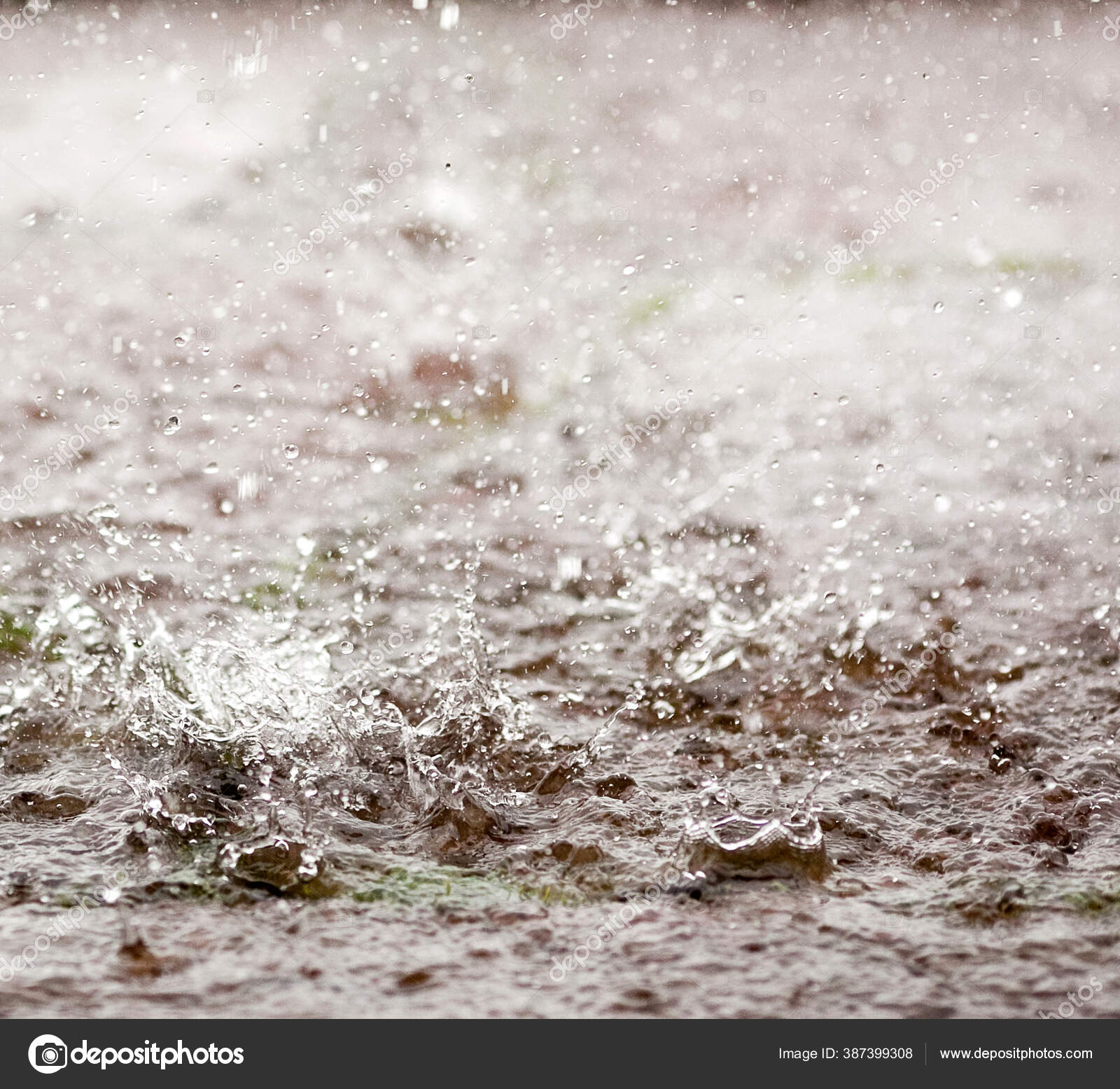 Rain Drops Falling Ground Bouncing Upwards Stock Photo by ©SimonXT2 ...