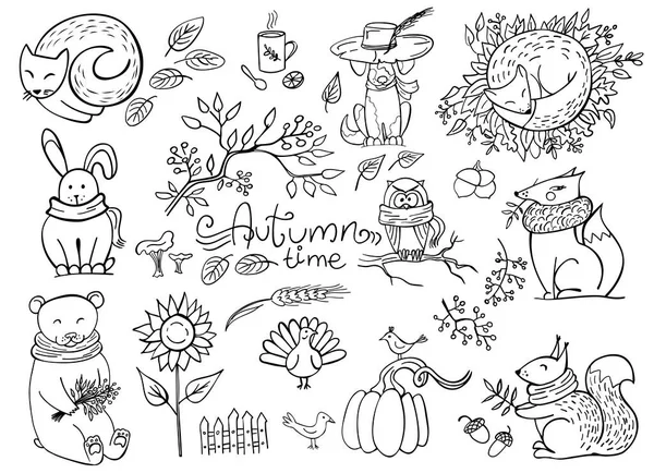 Urso girassol Vector Art Stock Images | Depositphotos