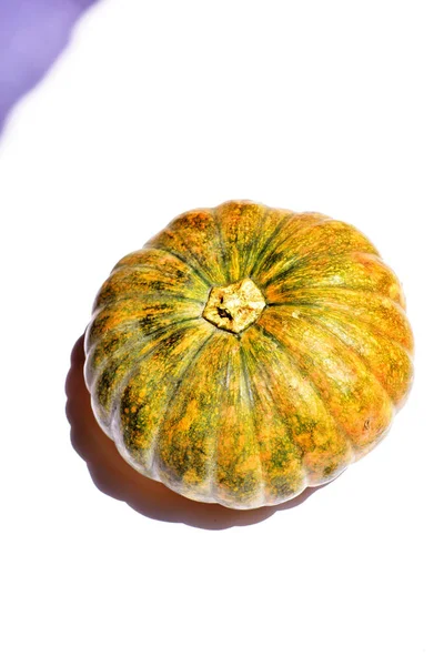 Translucent pumpkin Stock Photos, Royalty Free Translucent pumpkin ...