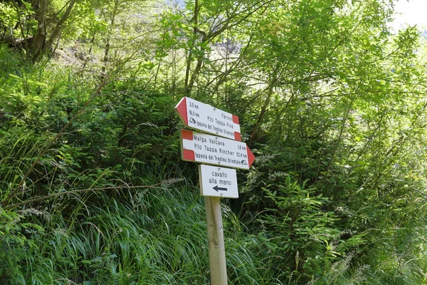 Forest wood signs Stock Photos, Royalty Free Forest wood signs Images ...