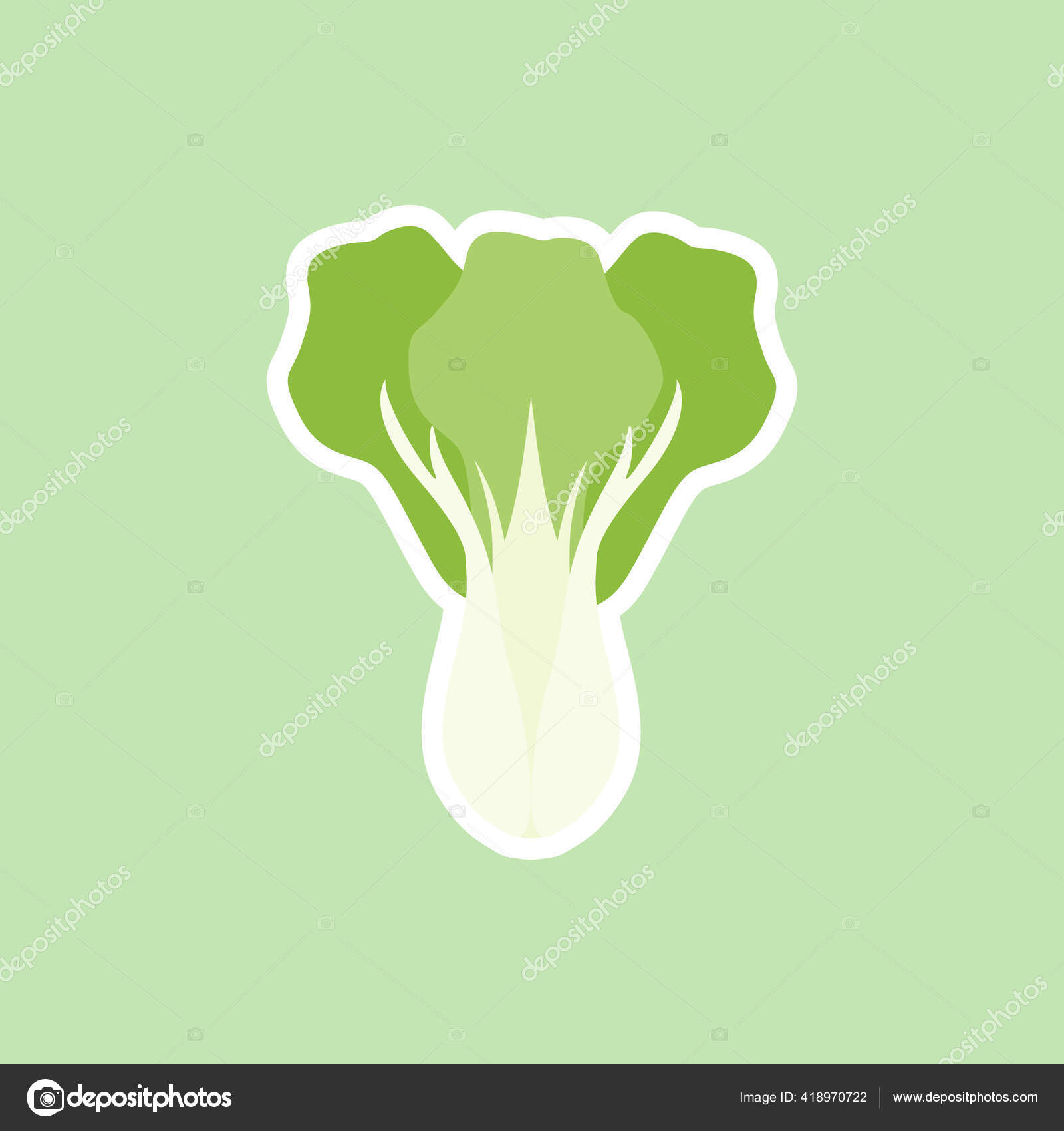 Bok Choi Also Pak Choi Cabbage Vector Illustration Cartoon Flat Stock ...